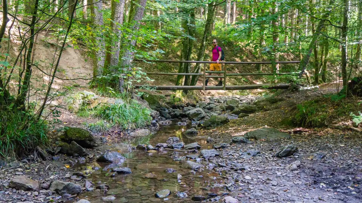 Ninglinspo wandeling: Wandelen in de Ardennen | TRAVELAAR